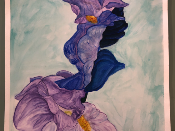 First of two Senior Capstone Art exhibitions features work from ...